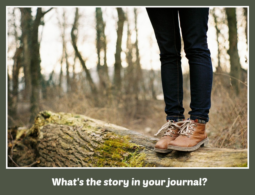 A really serious article with three reasons not to journal – Sara ...